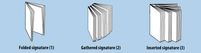 What is Signature? – ColorFX Blog